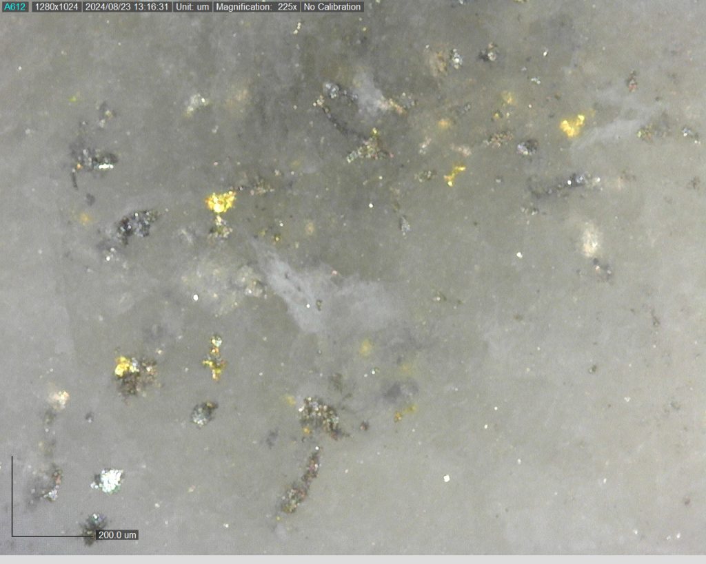 PDAC 2025 Core Shack - Sitka Gold Corp