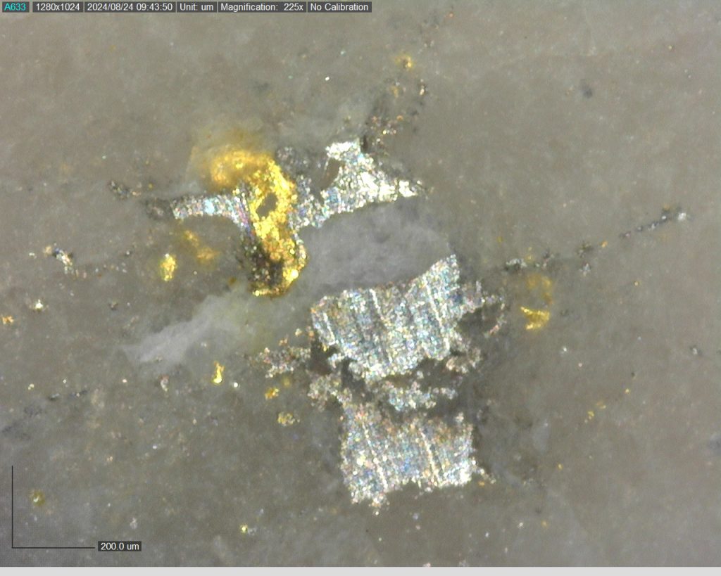 PDAC 2025 Core Shack - Sitka Gold Corp